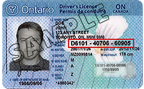 Ontario Will Suspend Driver’s Licenses for Convicted Car Thieves for at ...