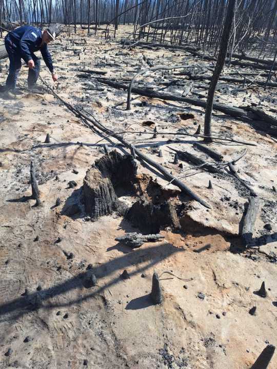 False Claims Blaming Israelis and Mapuche Groups for Argentine ...